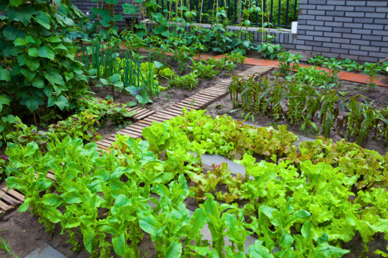 Benefits of Setting Up Community Gardens in Strata Complexes - Jamesons