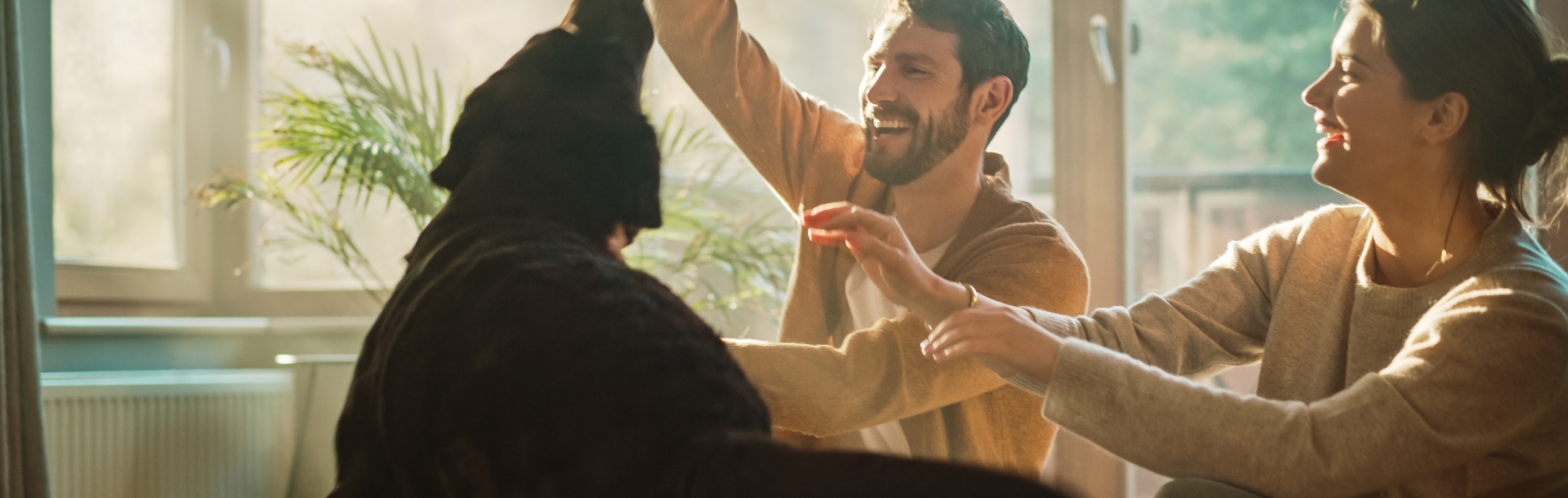 Pets in Strata and Rentals NSW 2025 | By-Laws & Rules Explained